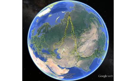 Siberian Peregrines - Falcons for everyone 2025